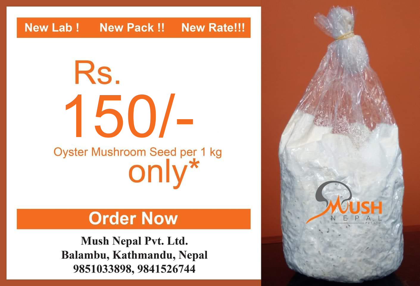 Mush Nepal: Mushroom Nepal, Mushroom Cultivation